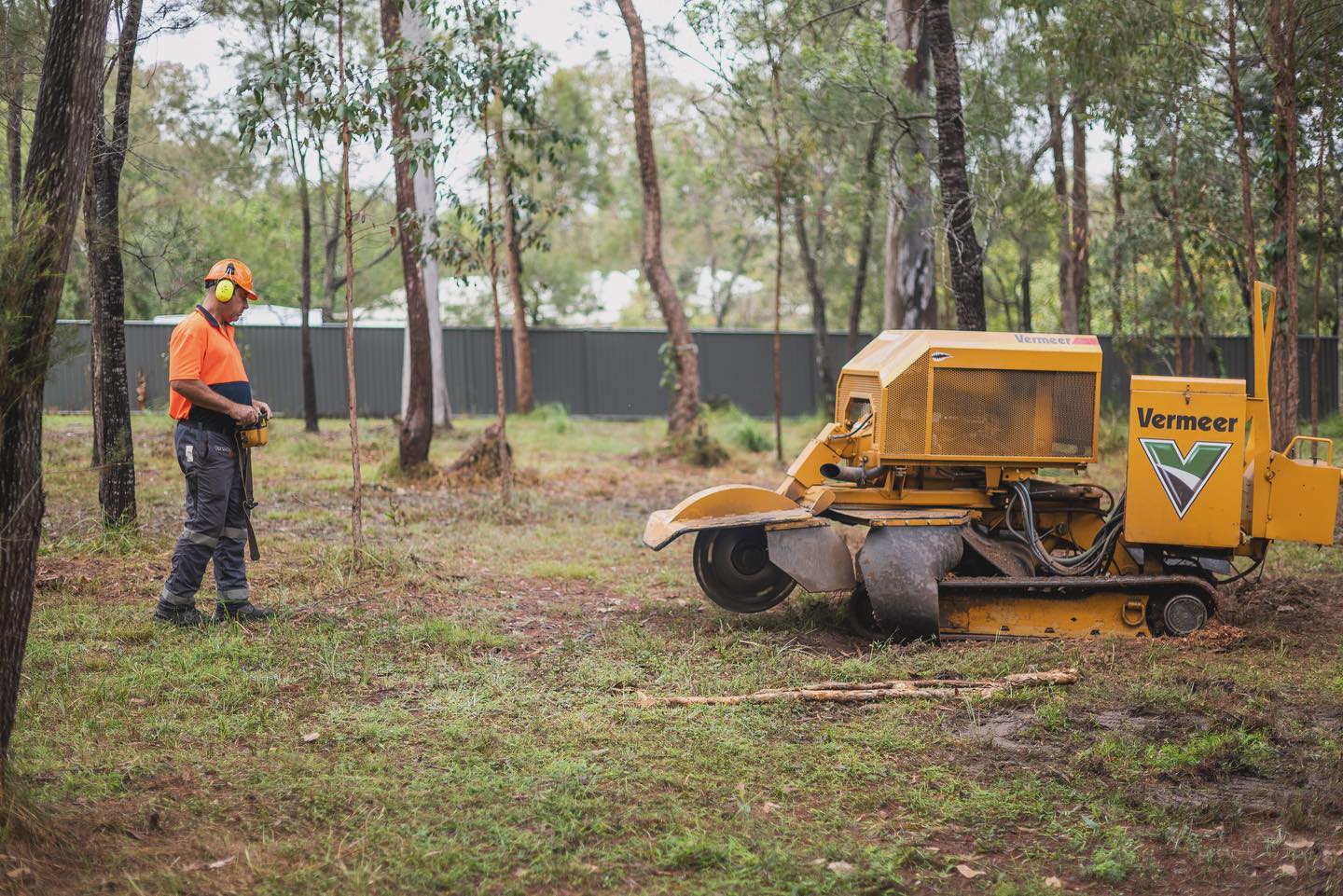 Tree Removal Brisbane City Council | Protected Vegetation Permits For ...